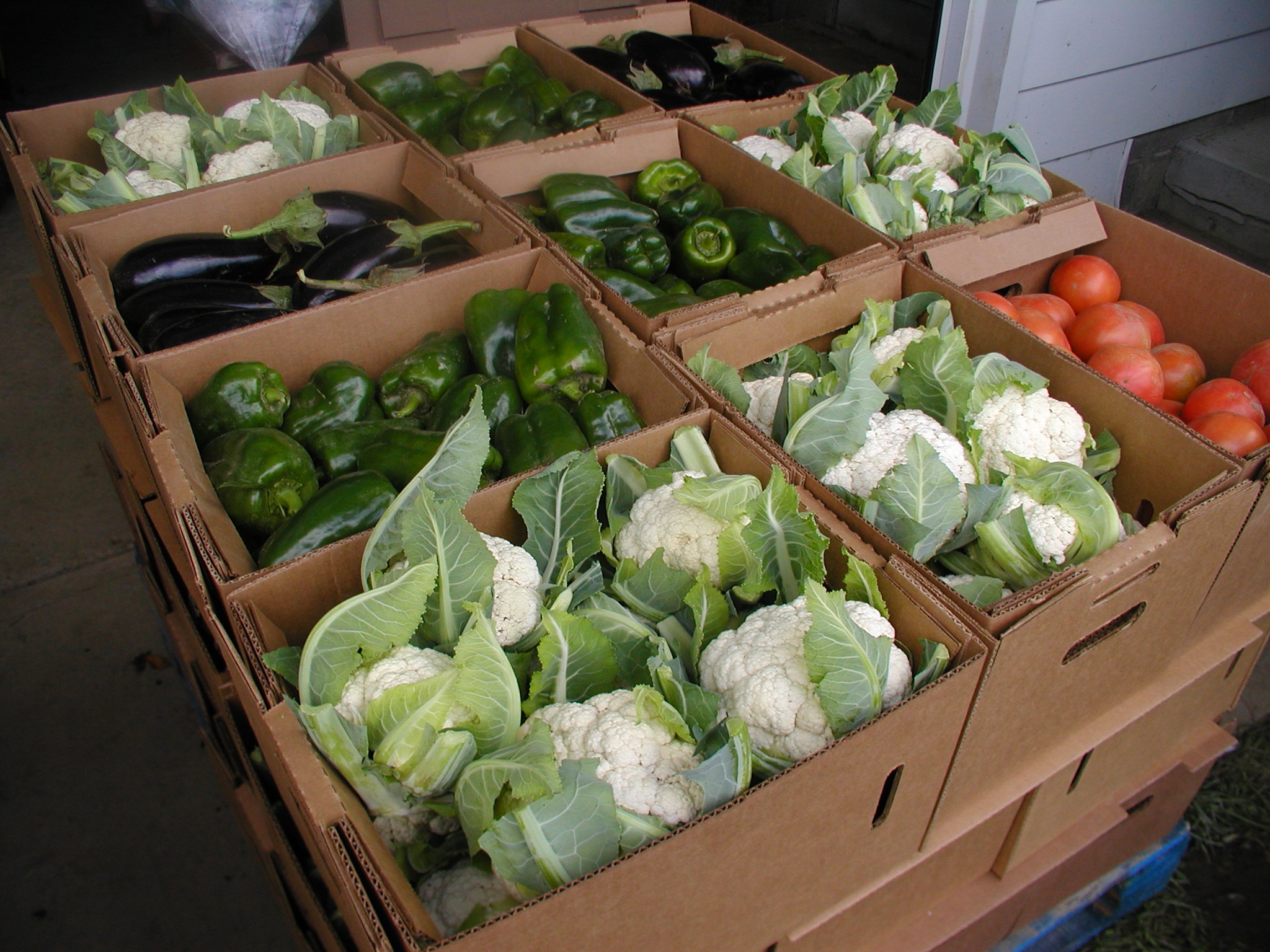 Patroon Land Farm - Regional Food Bank of Northeastern New York
