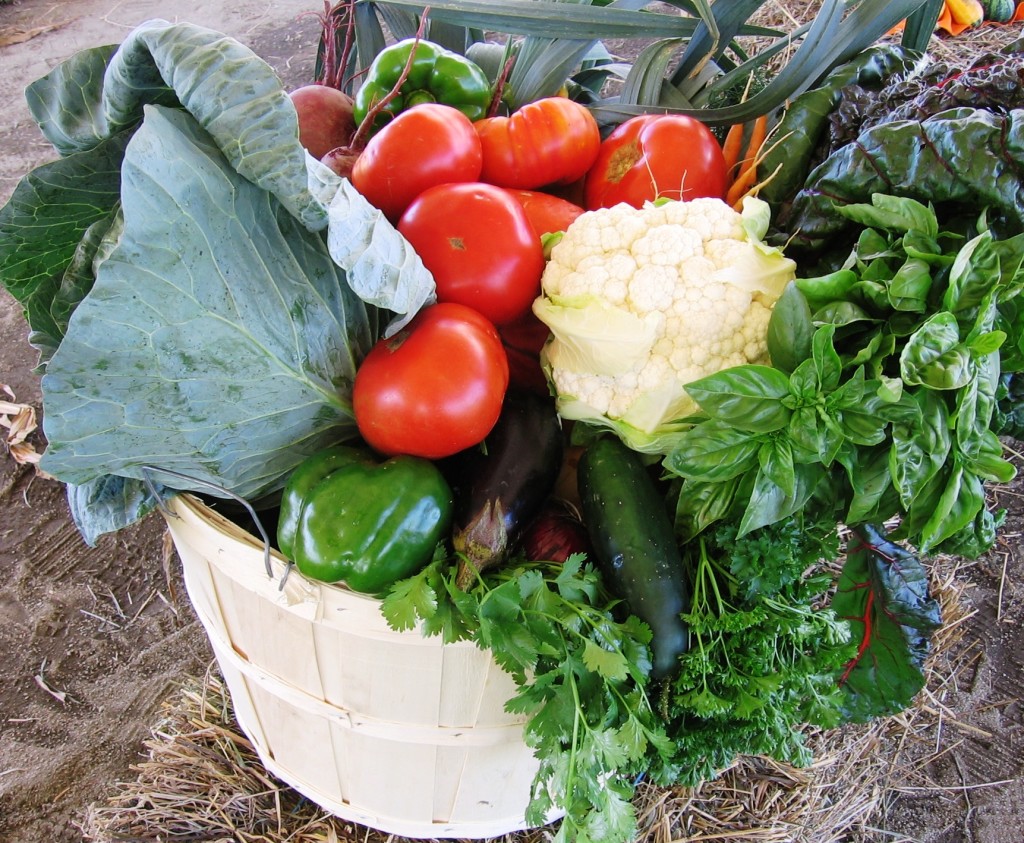 The Patroon Land Farm - Regional Food Bank of Northeastern New York