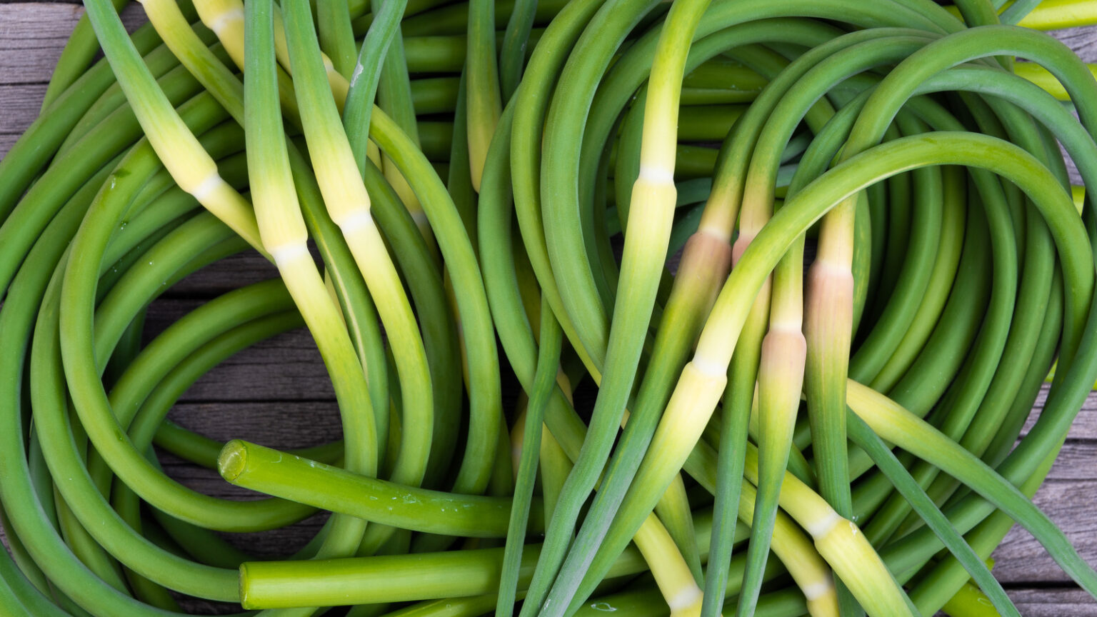 Try It Tuesday: Meet Garlic Scapes - Regional Food Bank of Northeastern ...