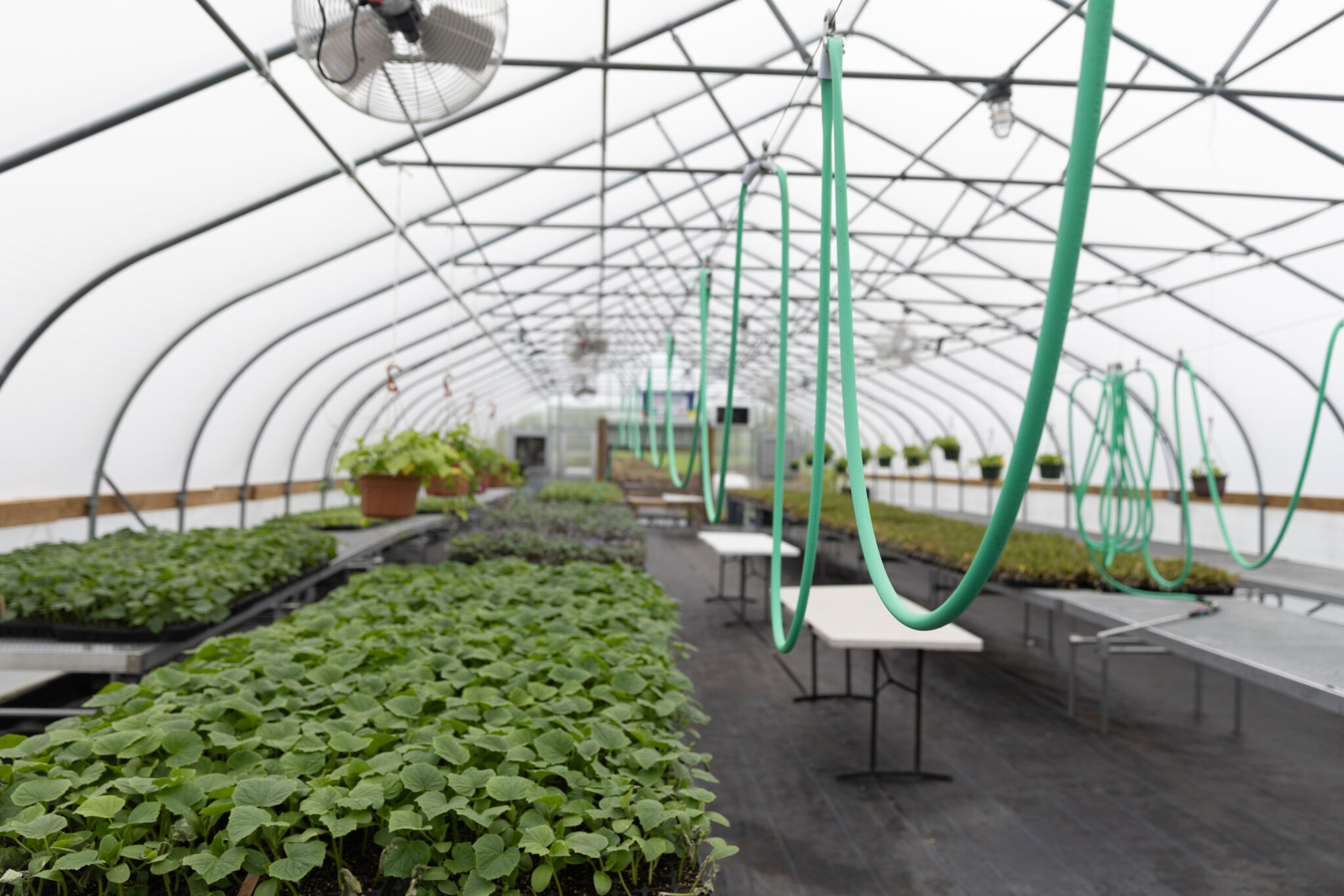 Patroon Land Farm - Regional Food Bank of Northeastern New York